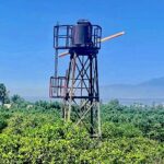 King Street Orchard – Redlands Hidden Gem